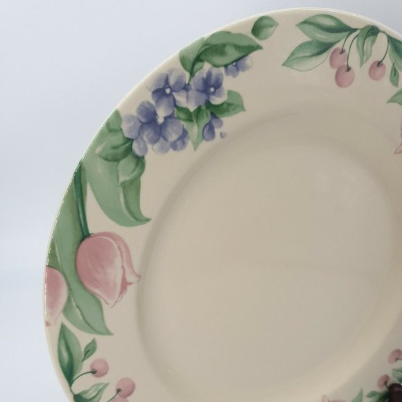 Pfaltzgraff | Dining | Pfaltzgraff Garden Party Collection Dinner Plate ...